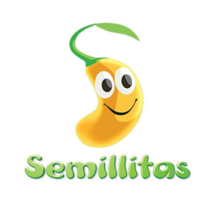 El canal infantil "Semillitas" crece en Centroamérica - Soy Positivo