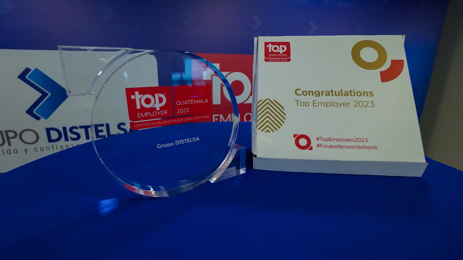 Grupo Distelsa es reconocida por su excelencia - Soy Positivo