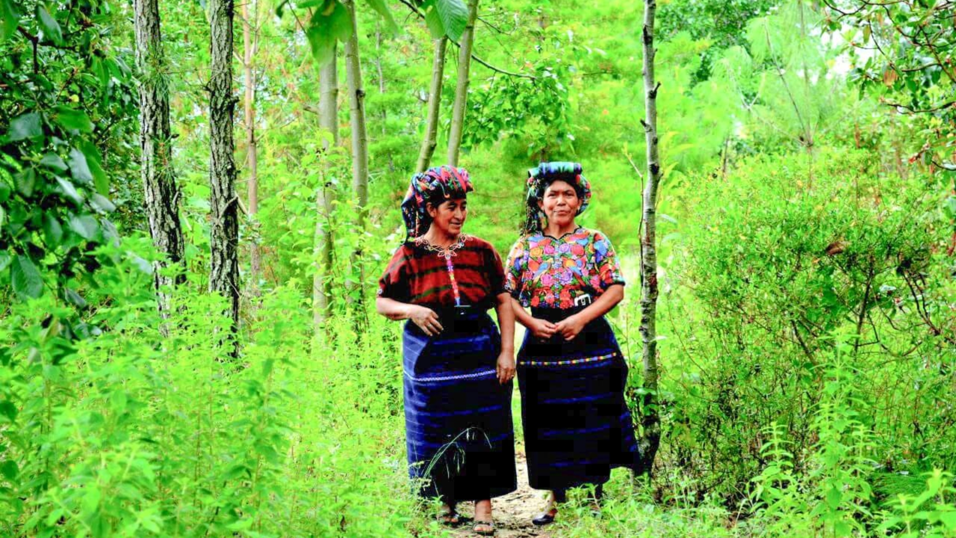 INAB presenta el Programa de Reducción de Emisiones en el Día ...