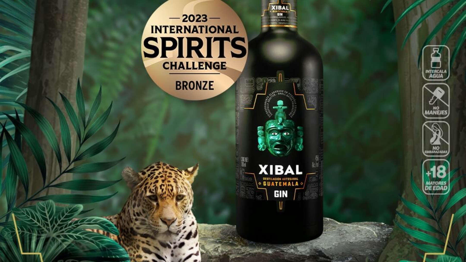Xibal logra medalla en International Spirits Challenge - Soy Positivo