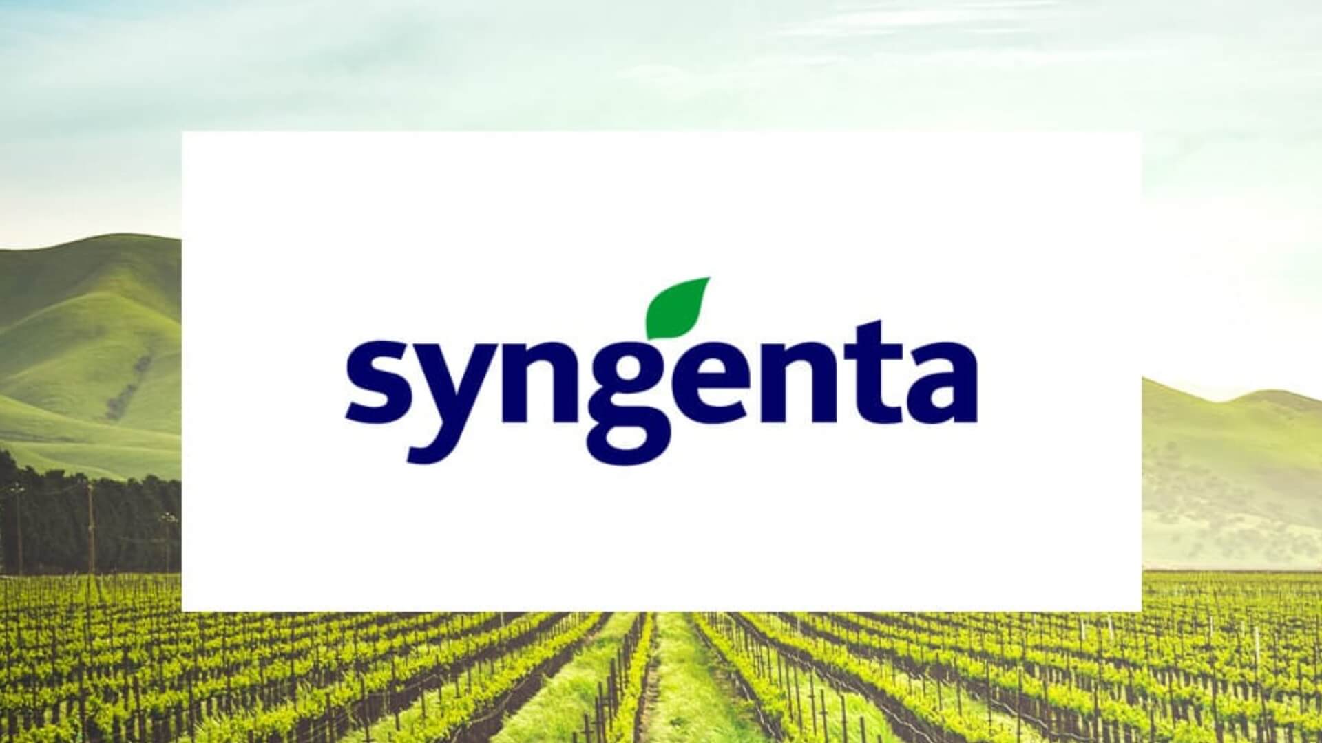 Syngenta transforma los sistemas agroalimentarios de Latinoamérica ...