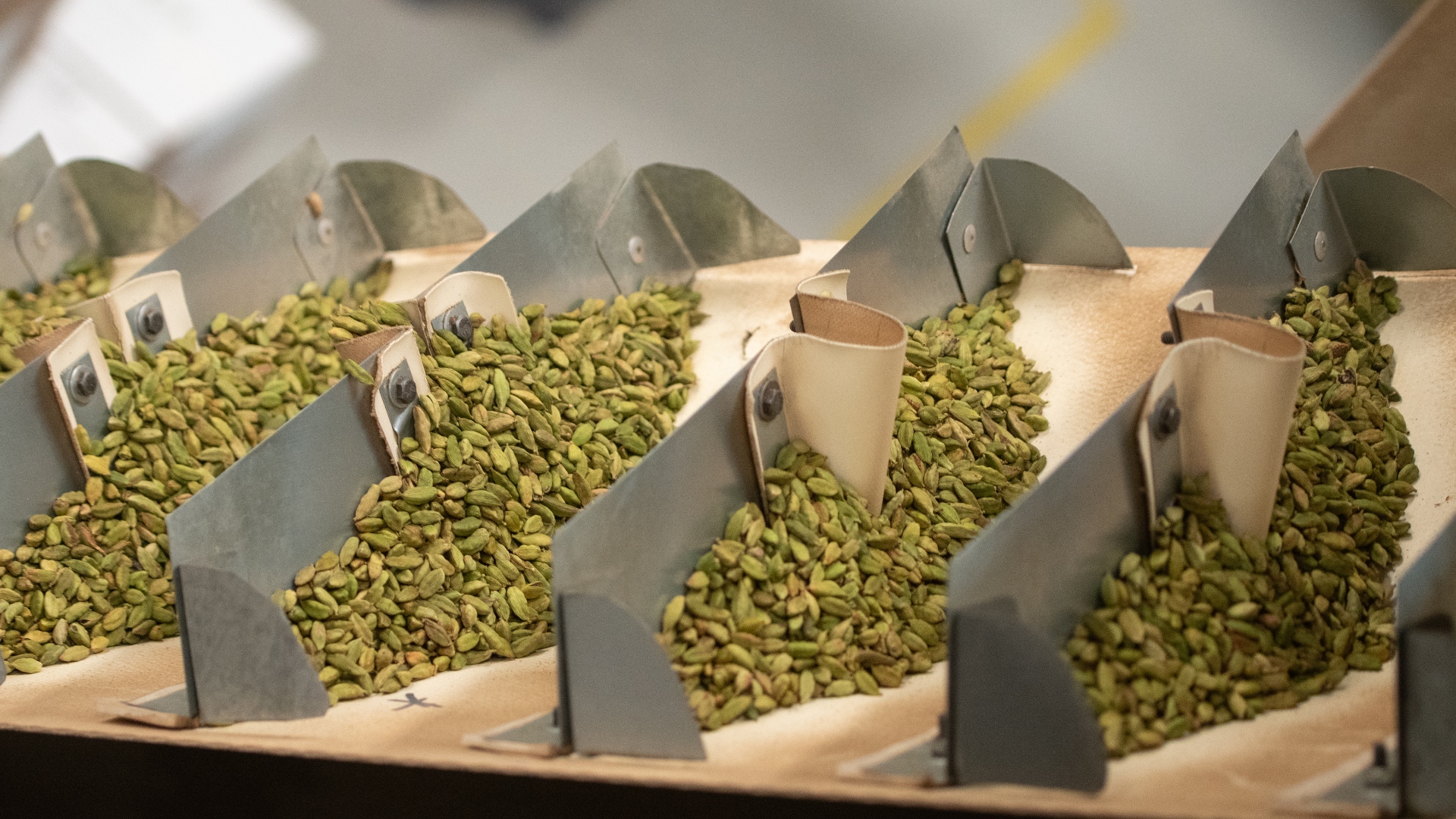 El cardamomo, un beneficio para la salud a nivel mundial - Soy Positivo