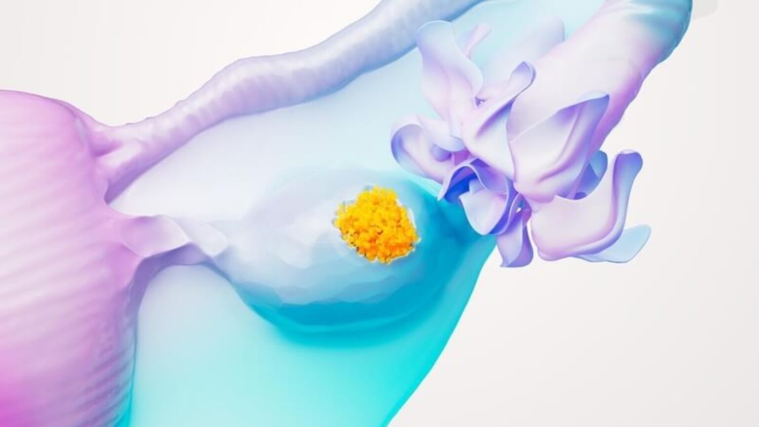 Cáncer ginecológico: cómo la detección temprana marca la diferencia ...